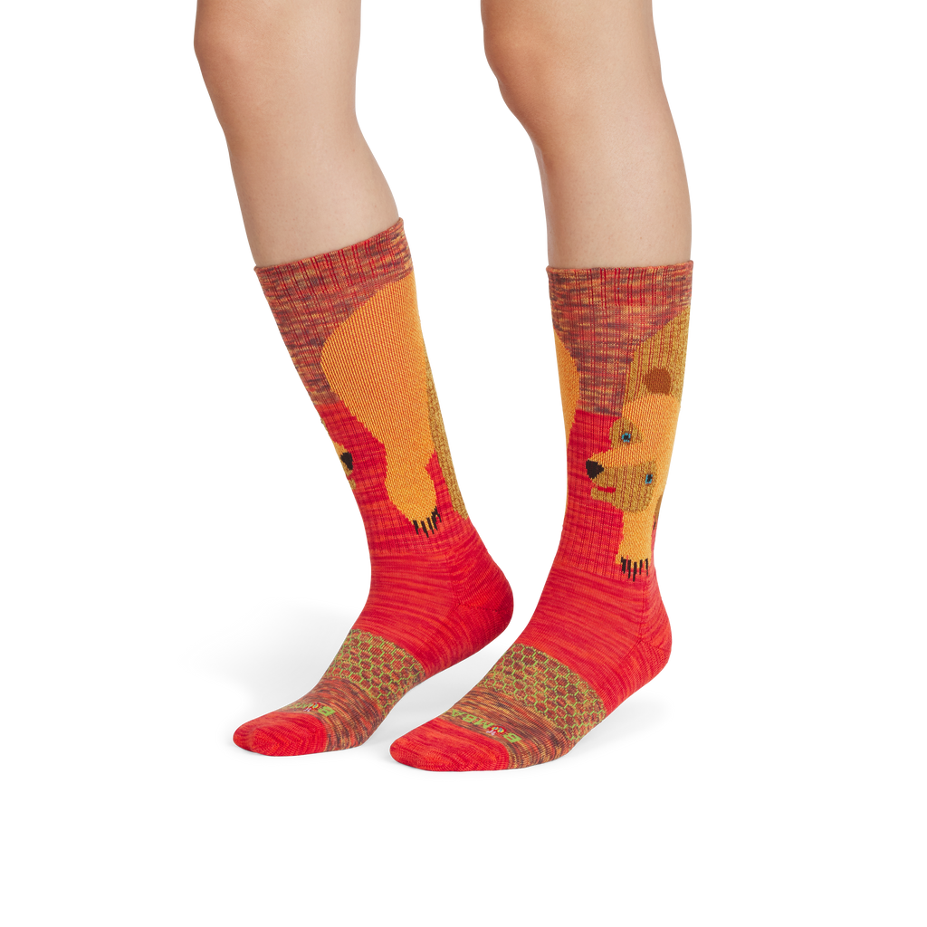 Eric Carle Bombas Socks